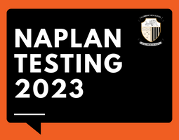 NAPLAN Testing 2023